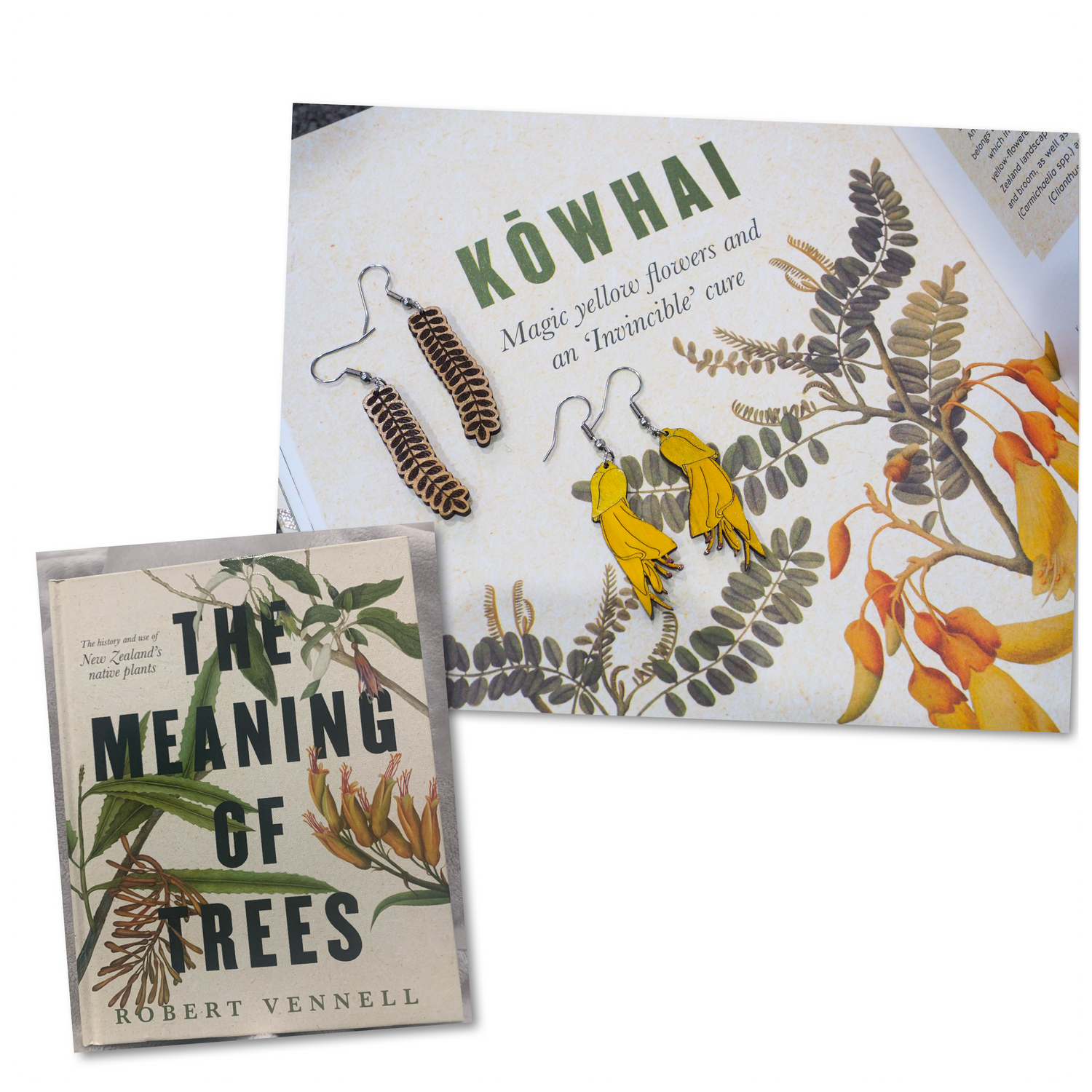 The Kowhai Tree of New Zealand – Meena.nzcraft